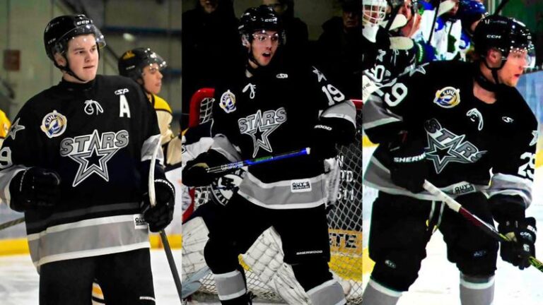 JOB OPENING: Weyburn Red Wings seeking assistant coach | Saskatchewan ...